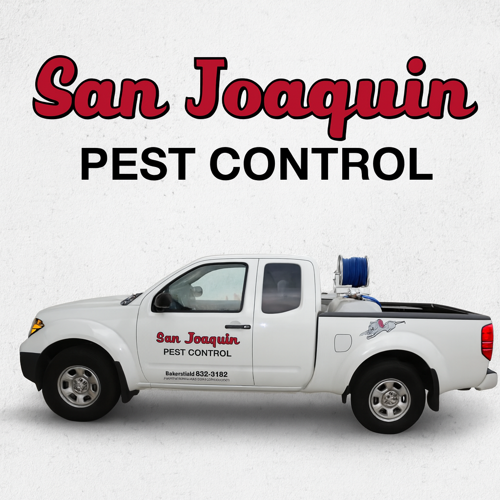 Everything you need to know about structural fumigation